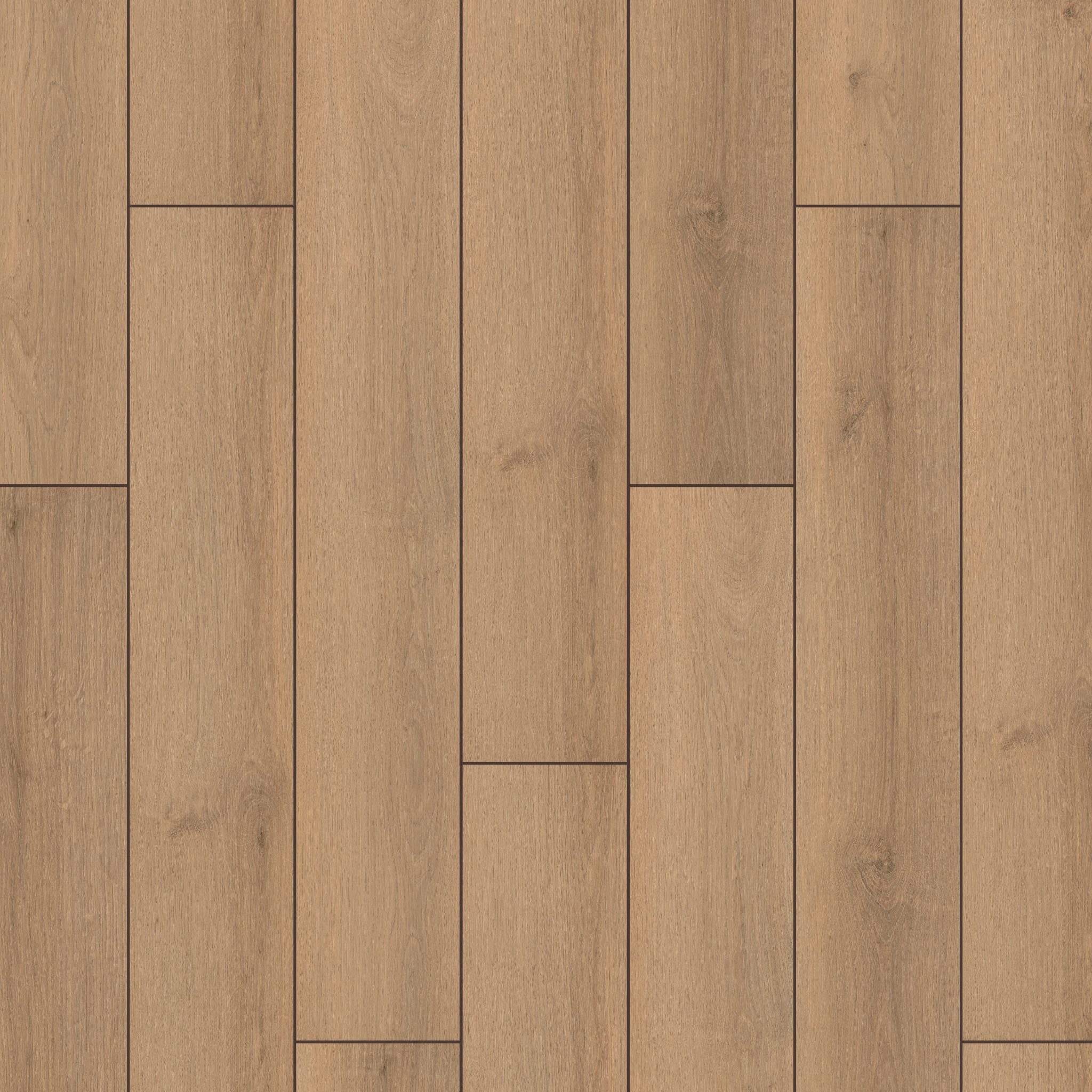 Artfloor Laminate 12mm 4v Canyon Oak FXL019 EU - Aspire Home Furnitures